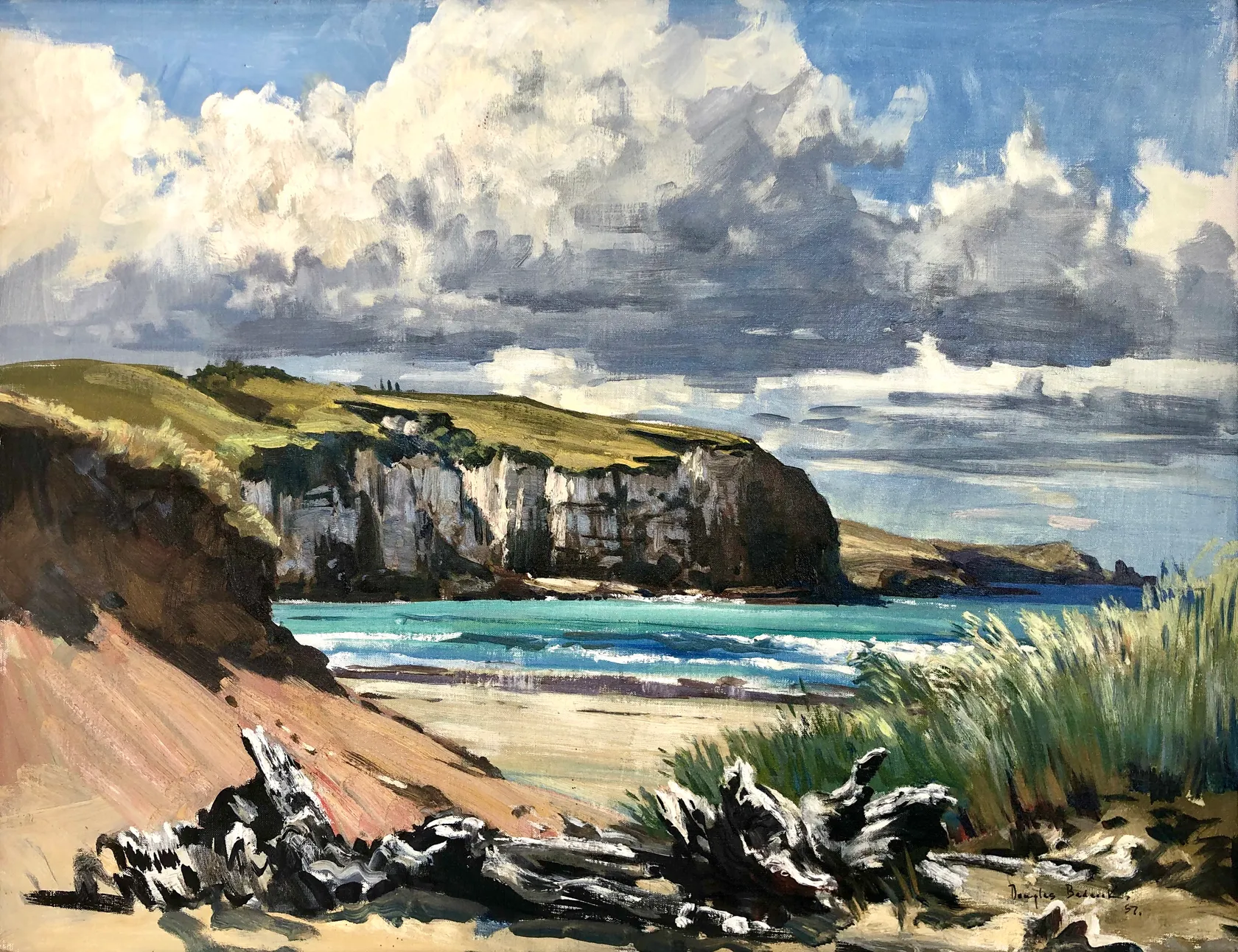 DOUGLAS BADCOCK (1922 - 2009), Jacks Bay, Owaka Coast | International ...