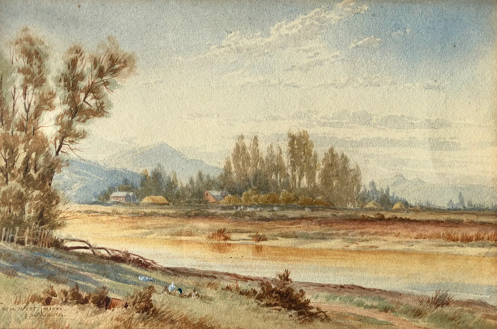 LAURENCE WILLIAM WILSON (1850 - 1912), Farm West Taieri | International ...
