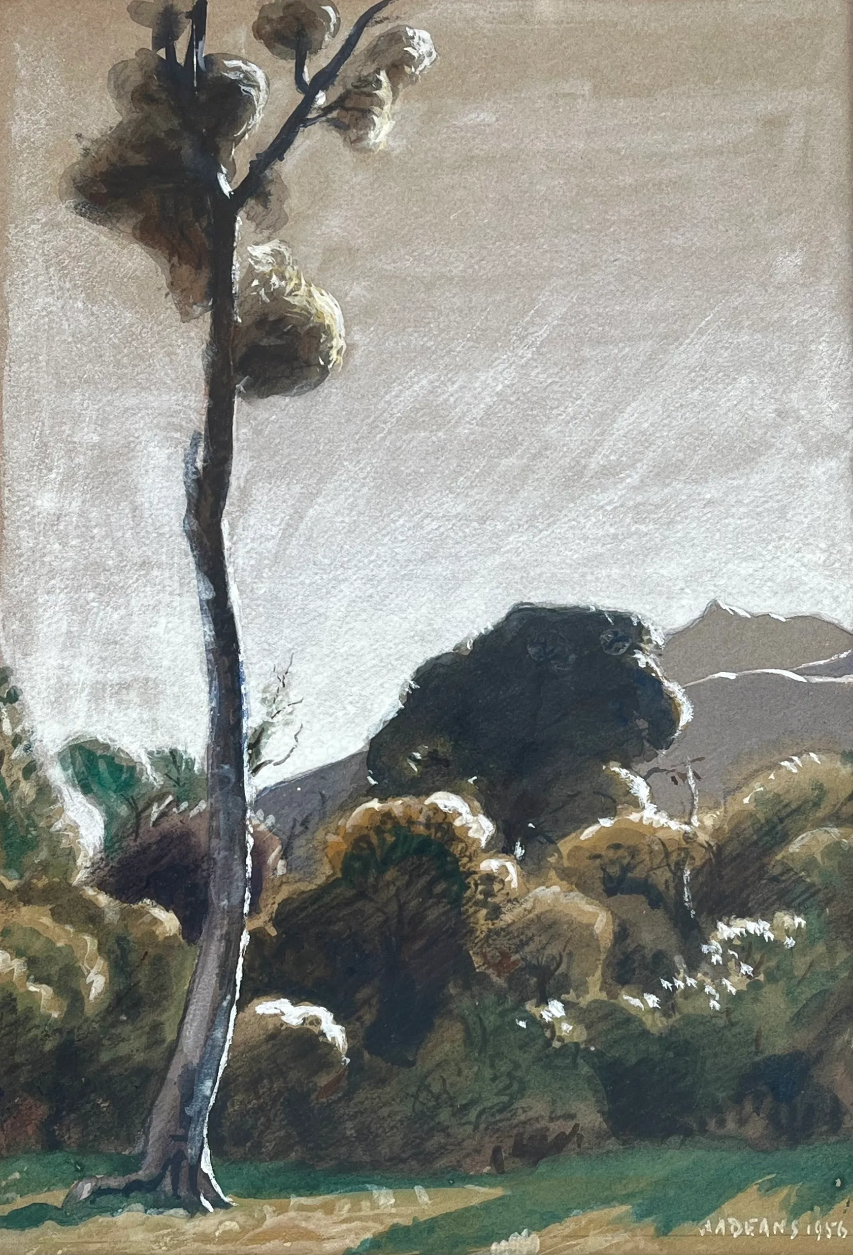 AUSTEN A DEANS - Edge of the Bush, Peel Forest | International Art Centre