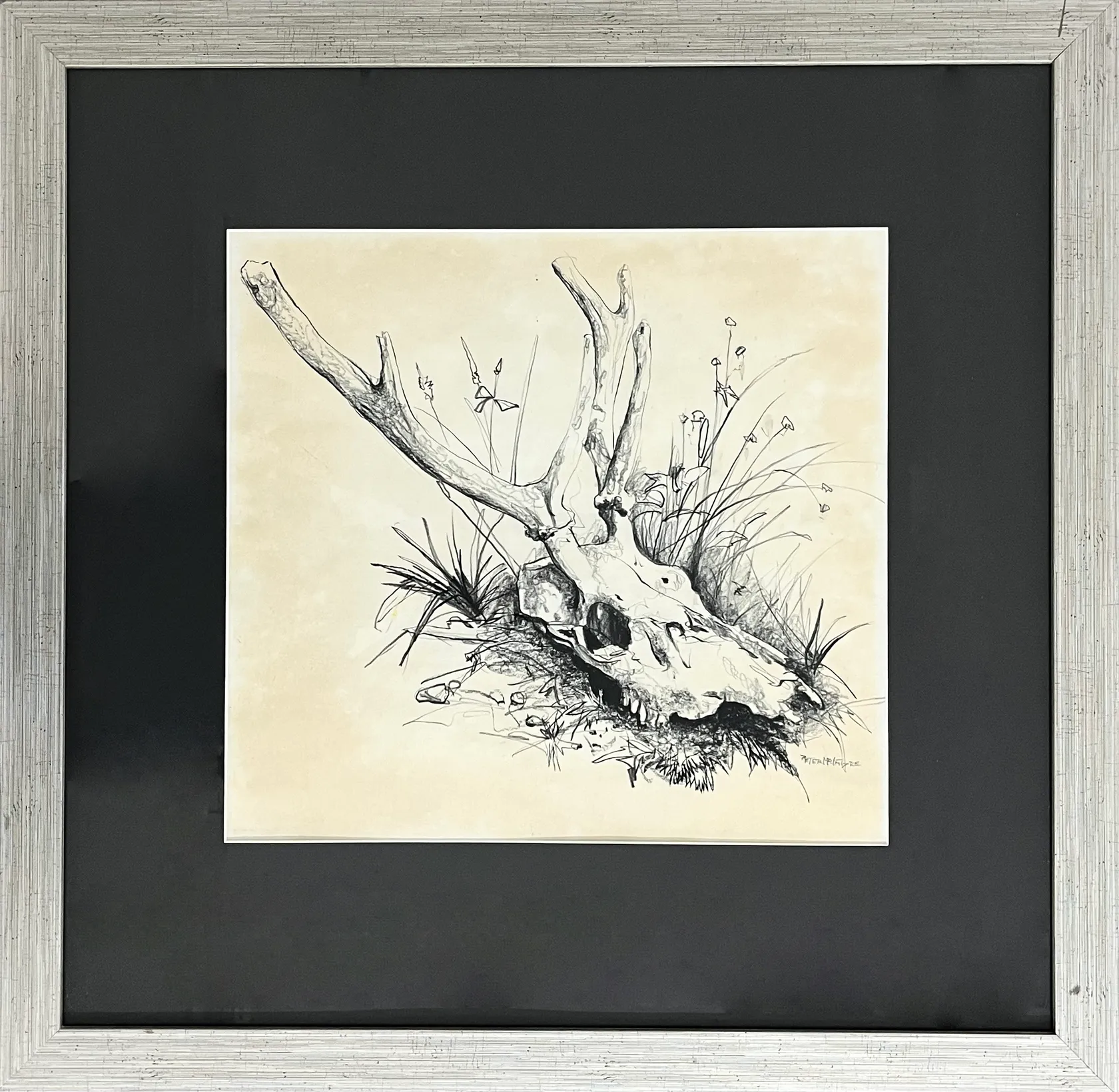 PETER MCINTYRE - Deer Skull | International Art Centre