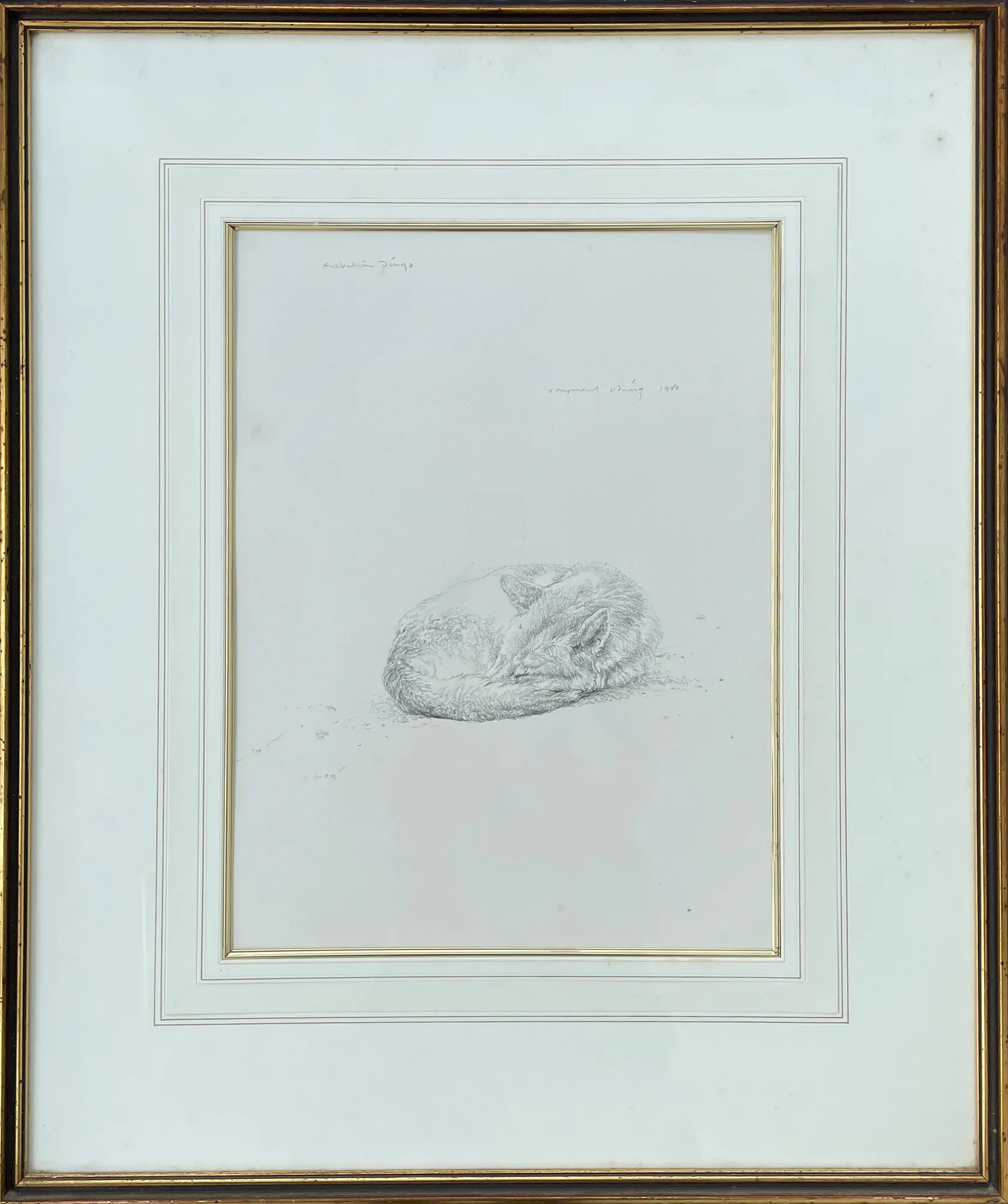 RAYMOND CHING - Australian Dingo | International Art Centre