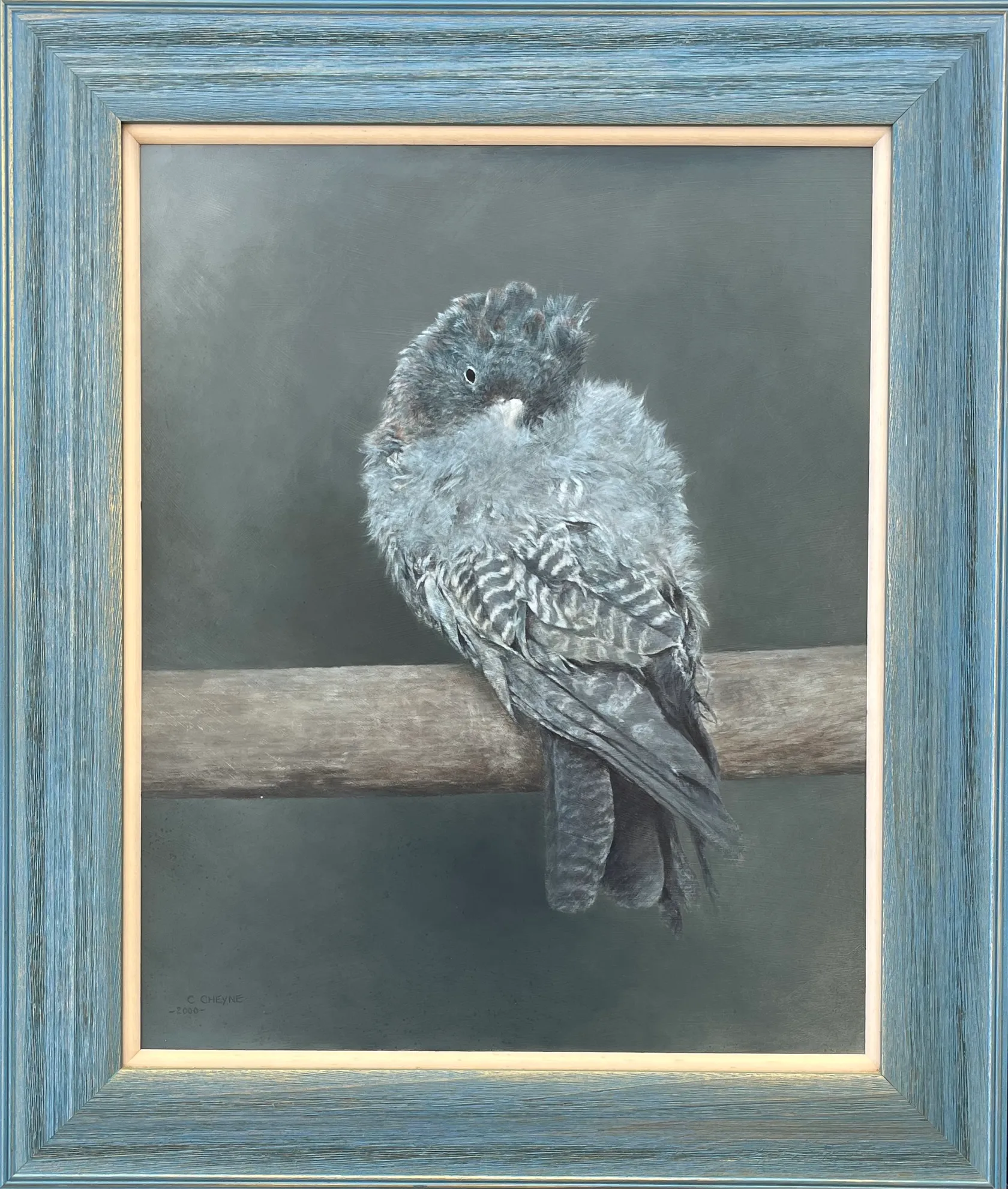 COLLETTE CHEYNE - Winter Blues Gang Gang Cockatoo | International Art ...