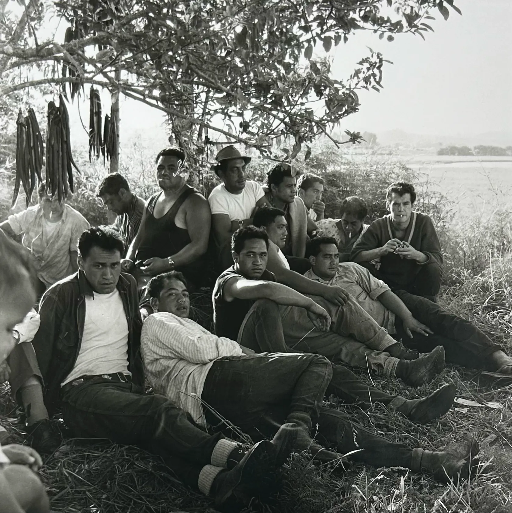 ANS WESTRA - Hangi Workers, Ringatu Hui, Ruatoria, 1963 | International ...