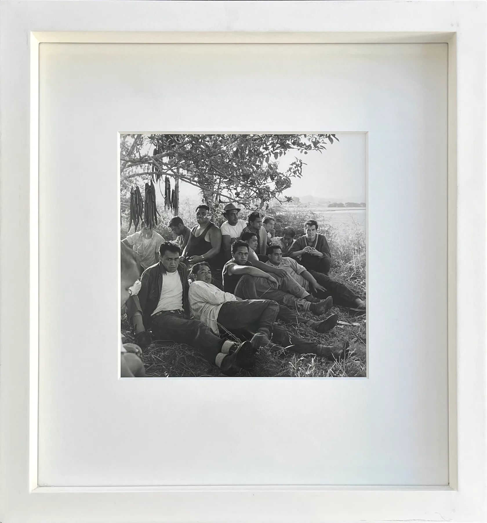 ANS WESTRA - Hangi Workers, Ringatu Hui, Ruatoria, 1963 | International ...