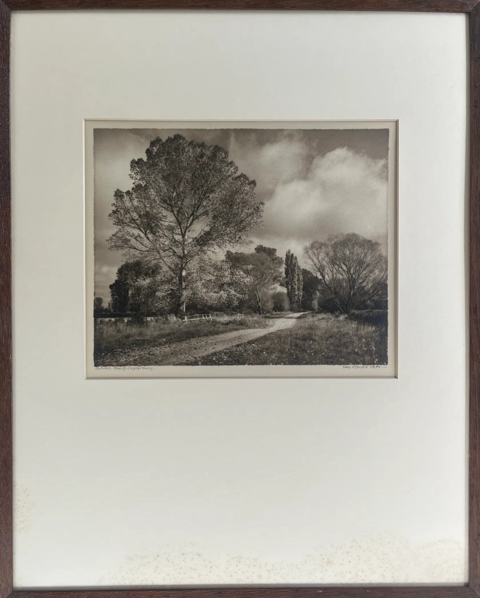 GEORGE CHANCE - Autumn - South Canterbury | International Art Centre