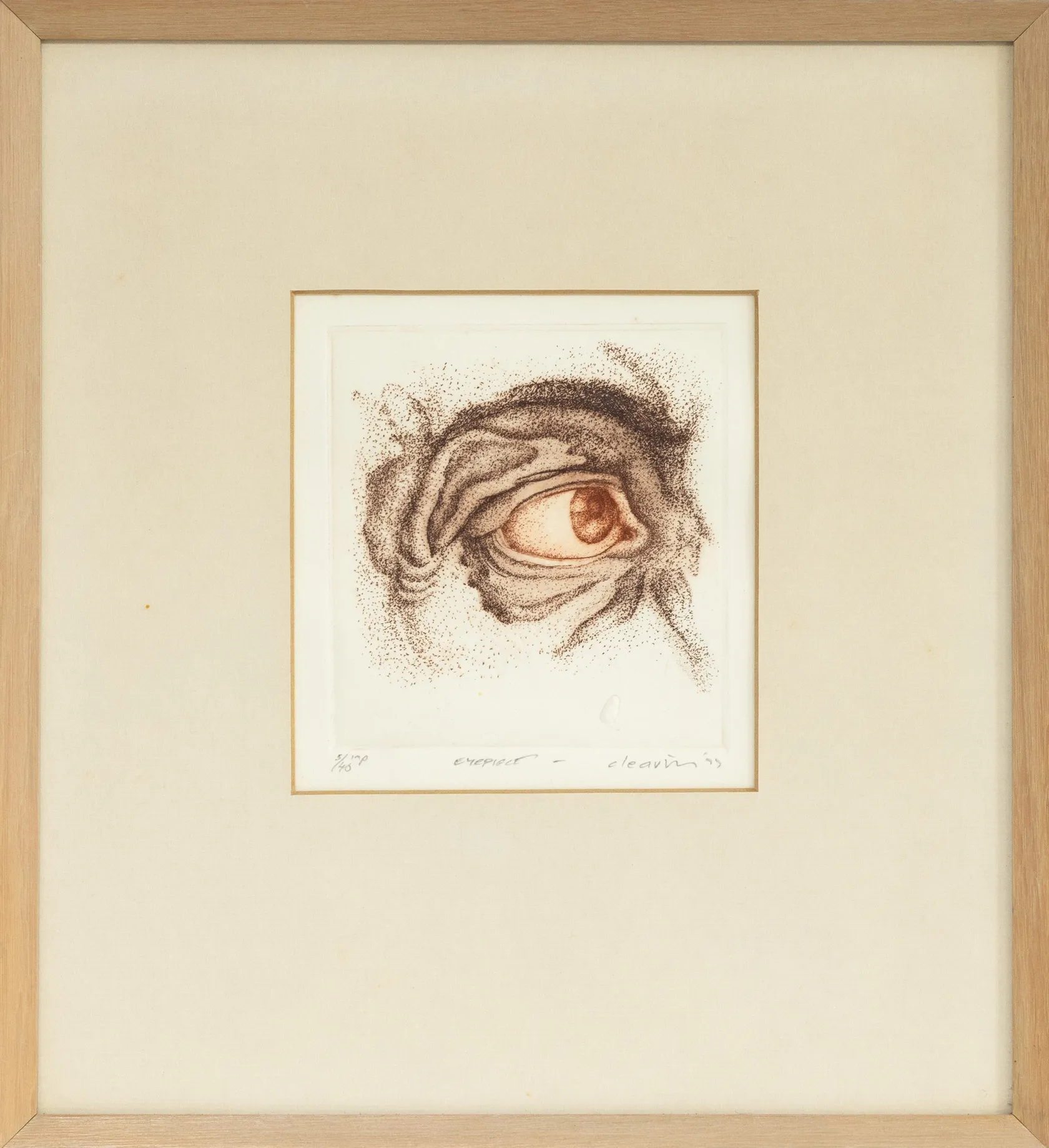 BARRY CLEAVIN - Eyepiece | International Art Centre