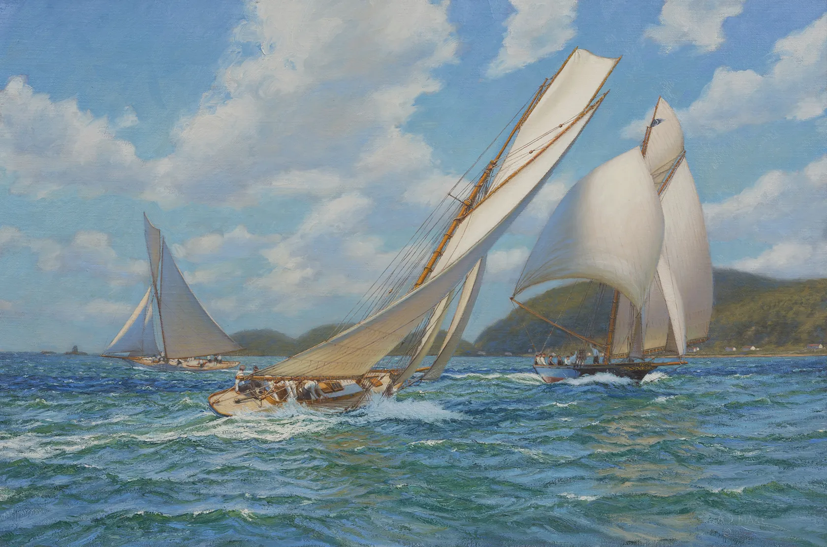 Pastime, Waitangi & Mascotte - Wellington Regatta 1895 | International ...