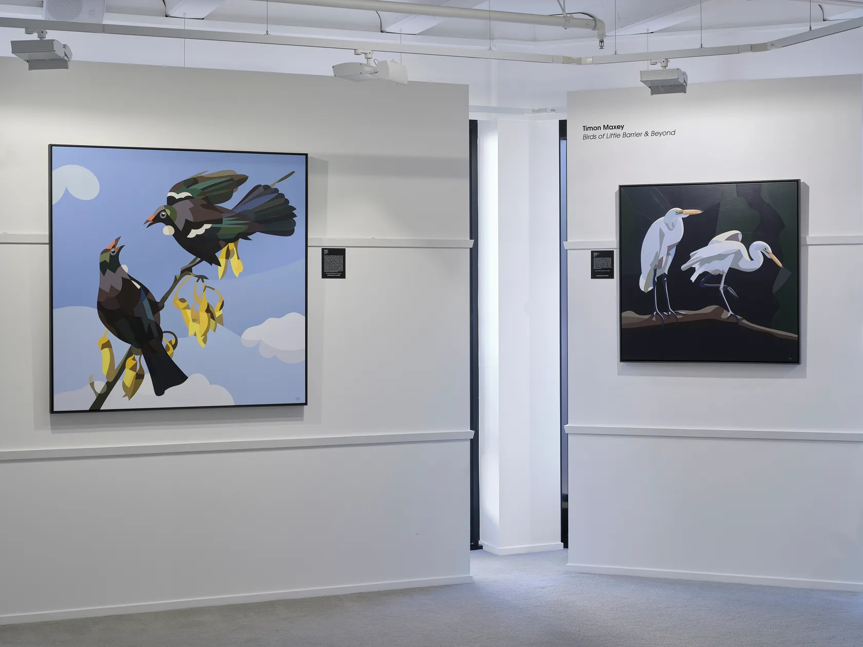 Timon Maxey | International Art Centre